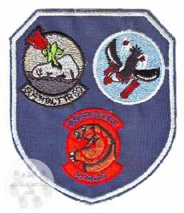 A-10 Warthogpatches.com_ 10 TFW