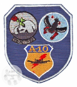 A-10 Warthogpatches.com_ 10 TFW