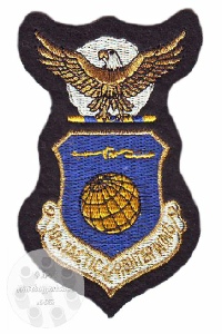 A-10 Warthogpatches.com_ 10 TFW