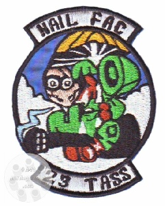 A-10 Warthogpatches.com - 602 TACW