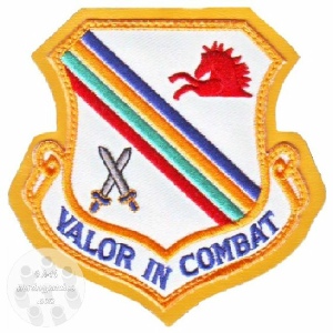 A-10 Warthogpatches.com - 354 FW