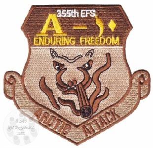 A-10 Warthogpatches.com - 354 FW