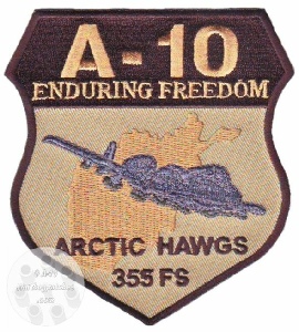 A-10 Warthogpatches.com - 354 FW