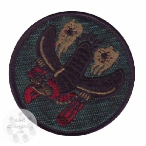 A-10 Warthogpatches.com-81 TFW