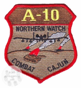 A-10 Warthogpatches.com - 926 TFG / FW